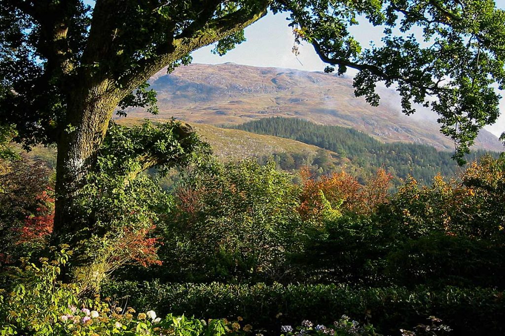 Ardnamurchan Self-Catering Accommodation | Ard Daraich